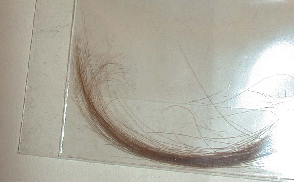 Head hairs of note * – DC's