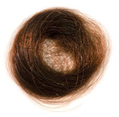 Head hairs of note * – DC's