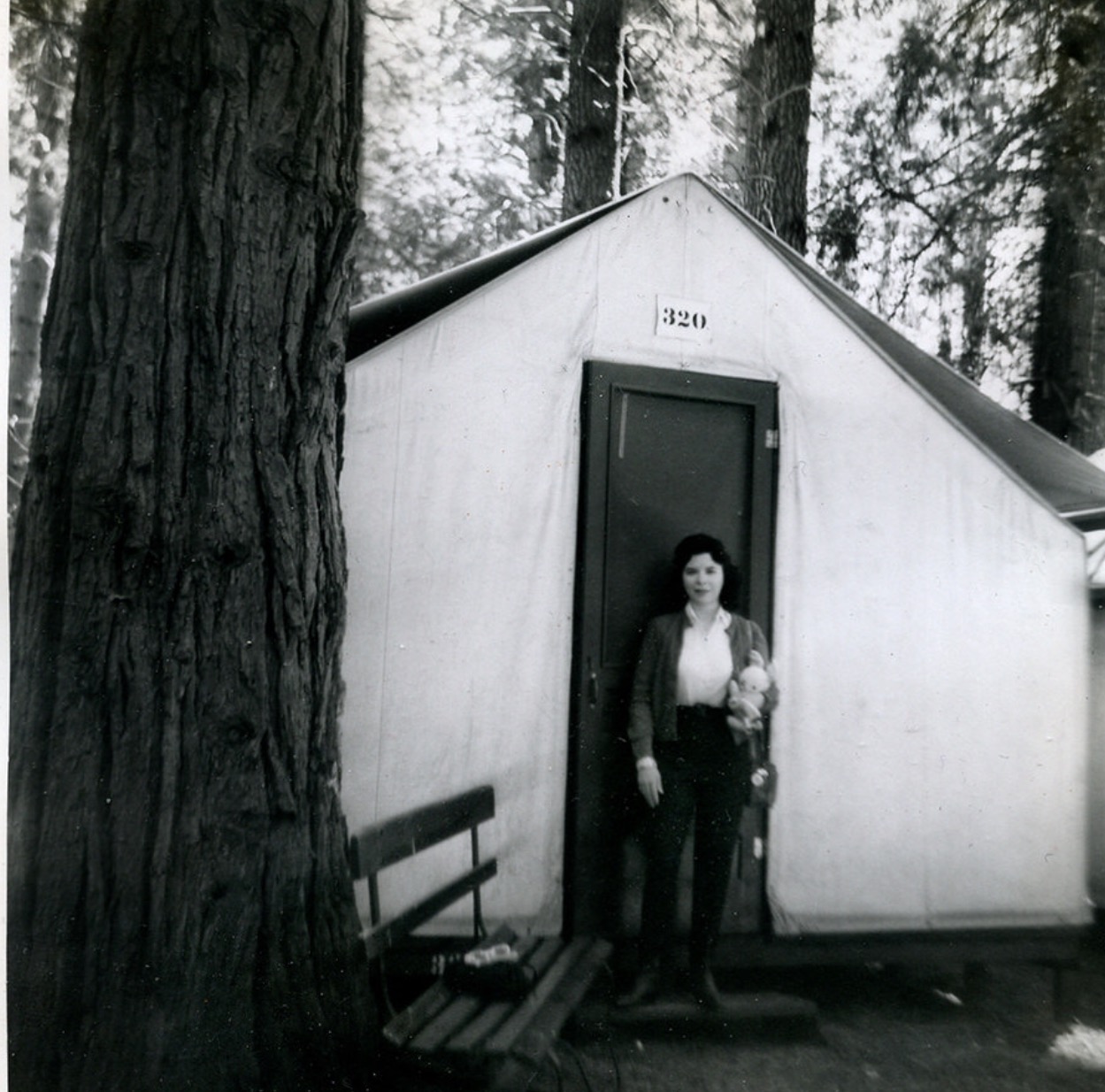 Ferdinand presents … Posing with Dolls – DC's