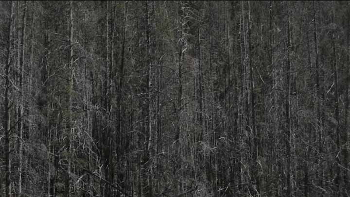 Jon Jost Day * – DC's