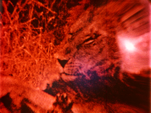 Bruce Baillie’s Day – DC's