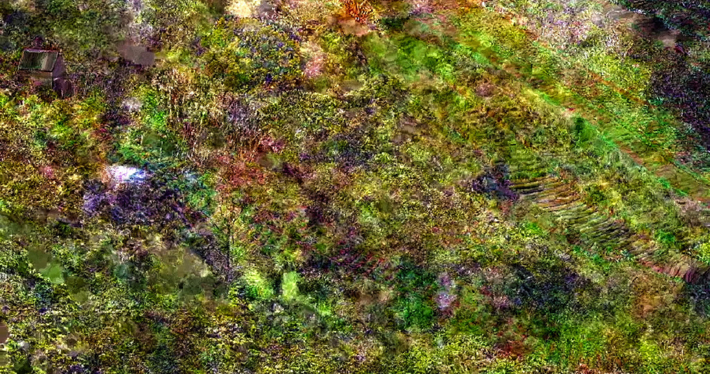 Jacques Perconte’s Day – DC's