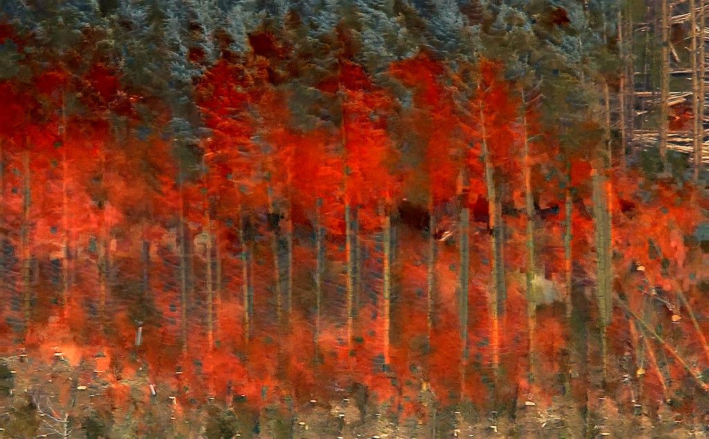 Jacques Perconte’s Day – DC's