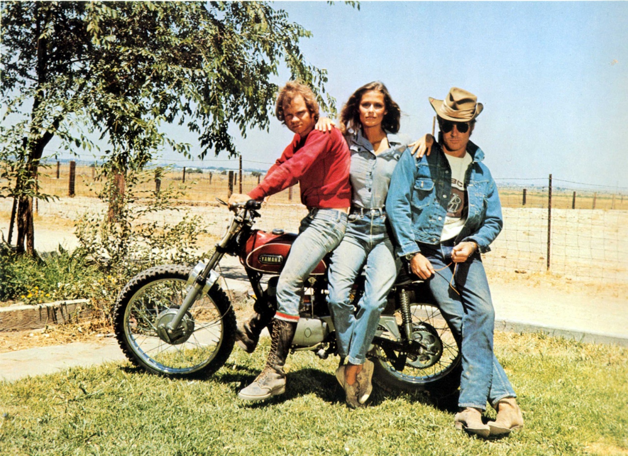 Michael J. Pollard Day * – DC's