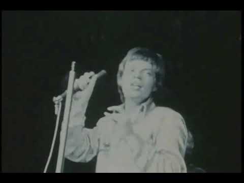 Peter Whitehead Day – DC's