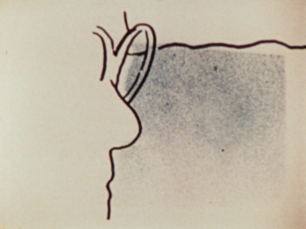 Robert Breer Day – DC's