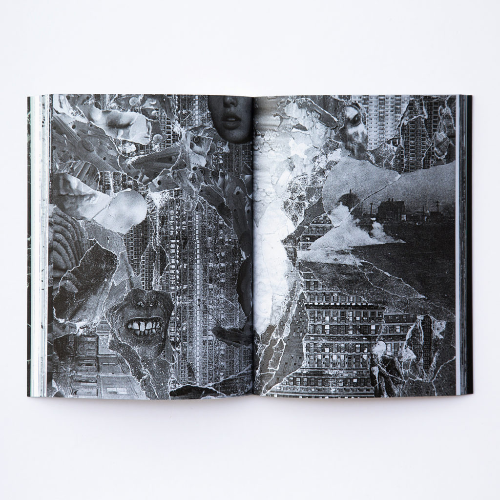 Please welcome to the world … Mutations by Gary J. Shipley & Devin ...