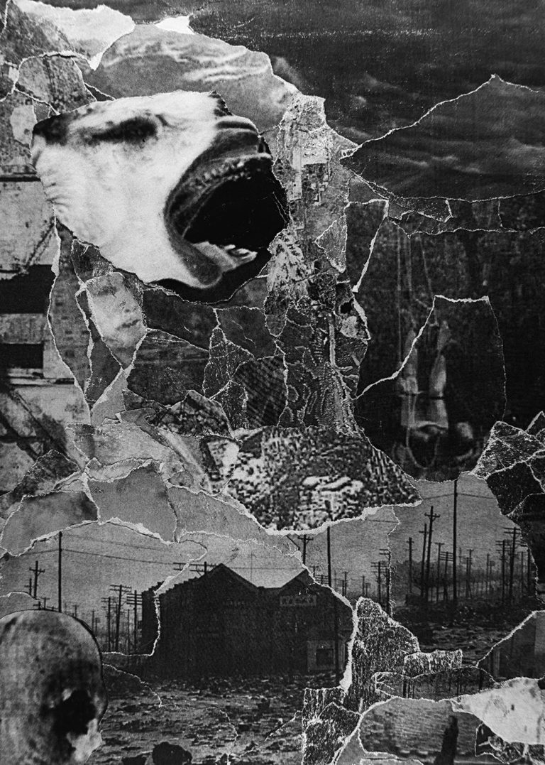 Please welcome to the world … Mutations by Gary J. Shipley & Devin ...