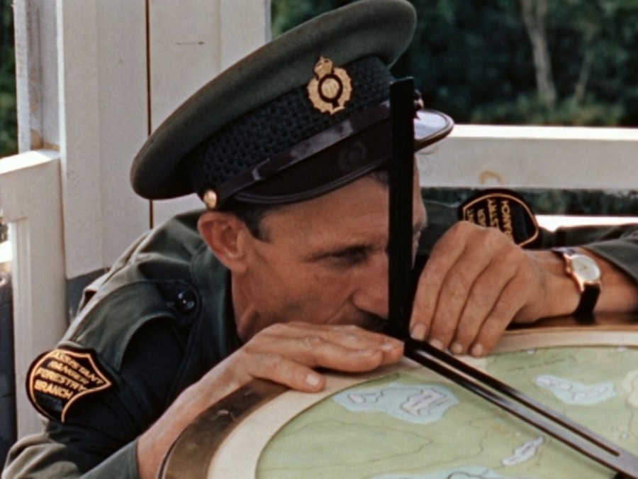 Symbiopsychotaxiplasm: The Films of William Greaves – DC's