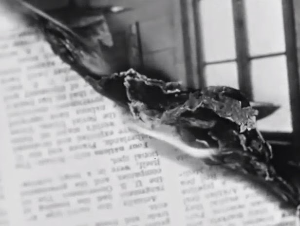 Sidney Peterson Day – DC's