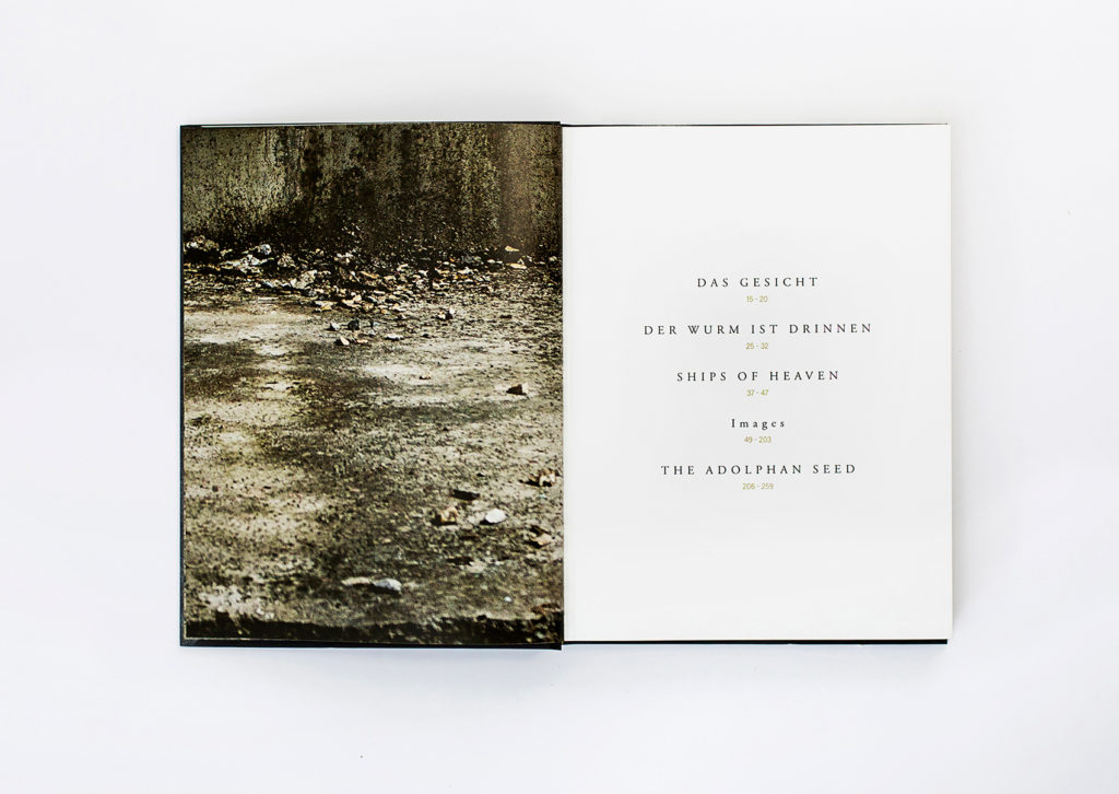 Please welcome to the world … New Juche The Worm (Infinity Land Press ...