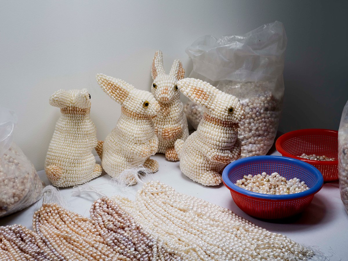 Galerie Dennis Cooper presents … Mika Rottenberg – DC's