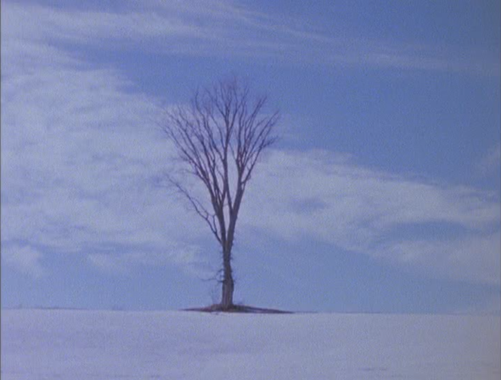 Larry Gottheim Day – DC's
