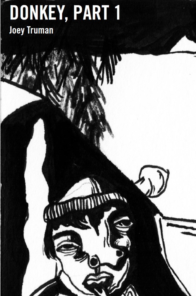 5 books I read recently & loved: Joey Truman Donkey, Fanny Howe London-Rose : Beauty Will Save ...