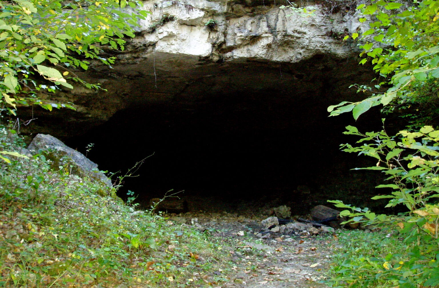 Cave Mouths – DC's