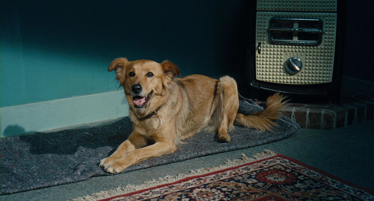 Aki Kaurismäki Day * – DC's