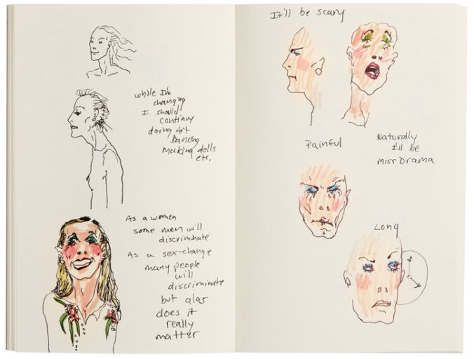 Galerie Dennis Cooper presents … Greer Lankton – DC's