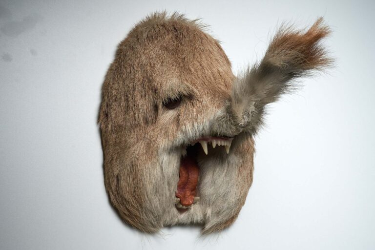 Your Cellmate presents … 35 Taxidermists – DC's